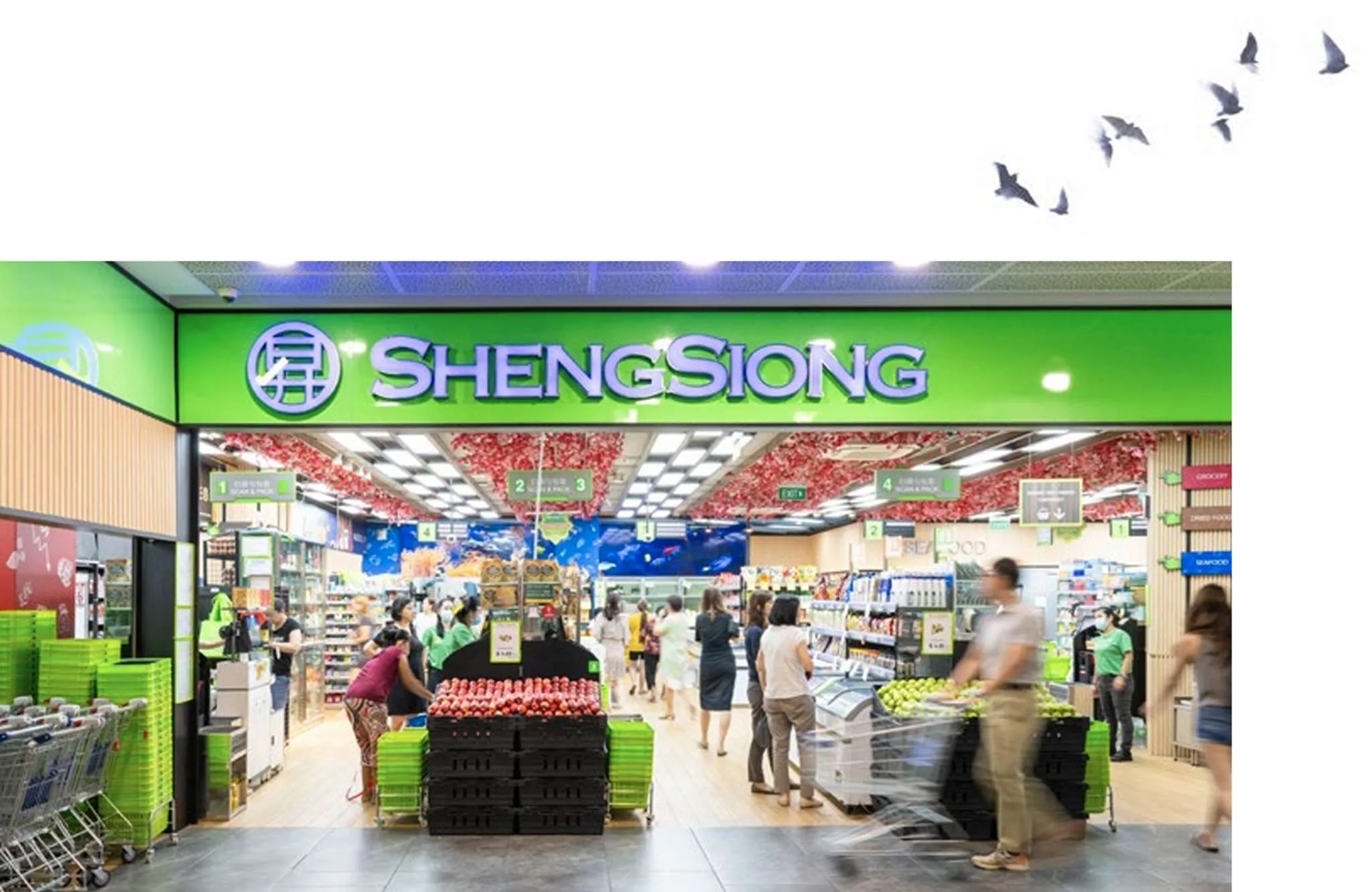 Analyzing the Sheng Siong Share Price: Crisis or Opportunity? - My ...